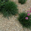 Cotswold Buff - Kebur Garden Materials