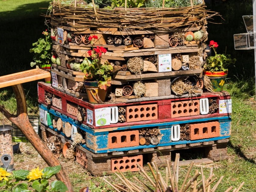 Step By Step Guide On Creating a Bug Hotel | Kebur