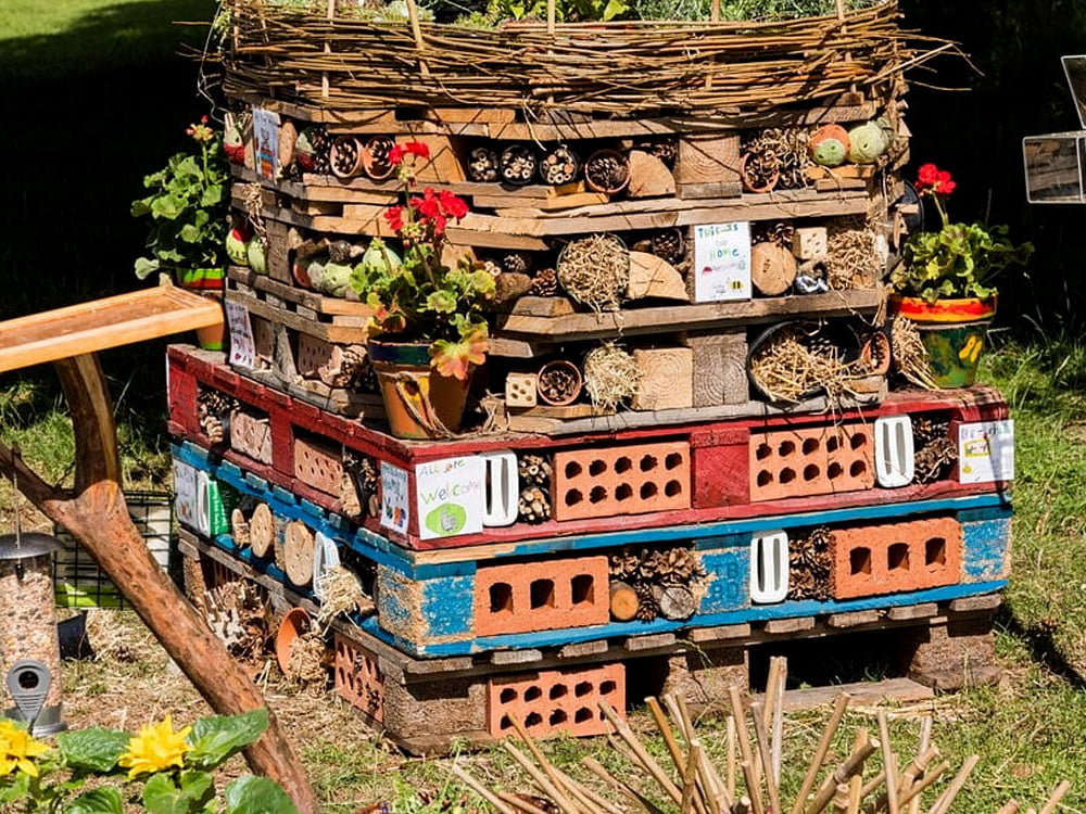 Step By Step Guide On Creating a Bug Hotel | Kebur