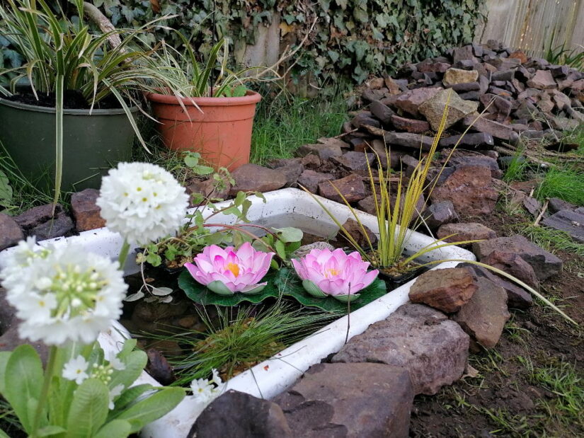 How to make a mini pond for your garden | Kebur
