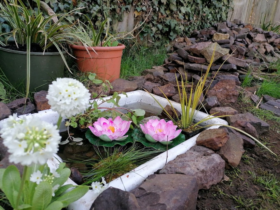 How to make a mini pond for your garden | Kebur