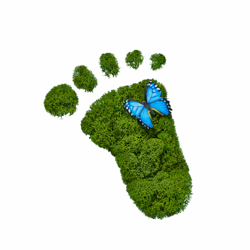 How to create a planet friendly garden - Kebur Garden Materials