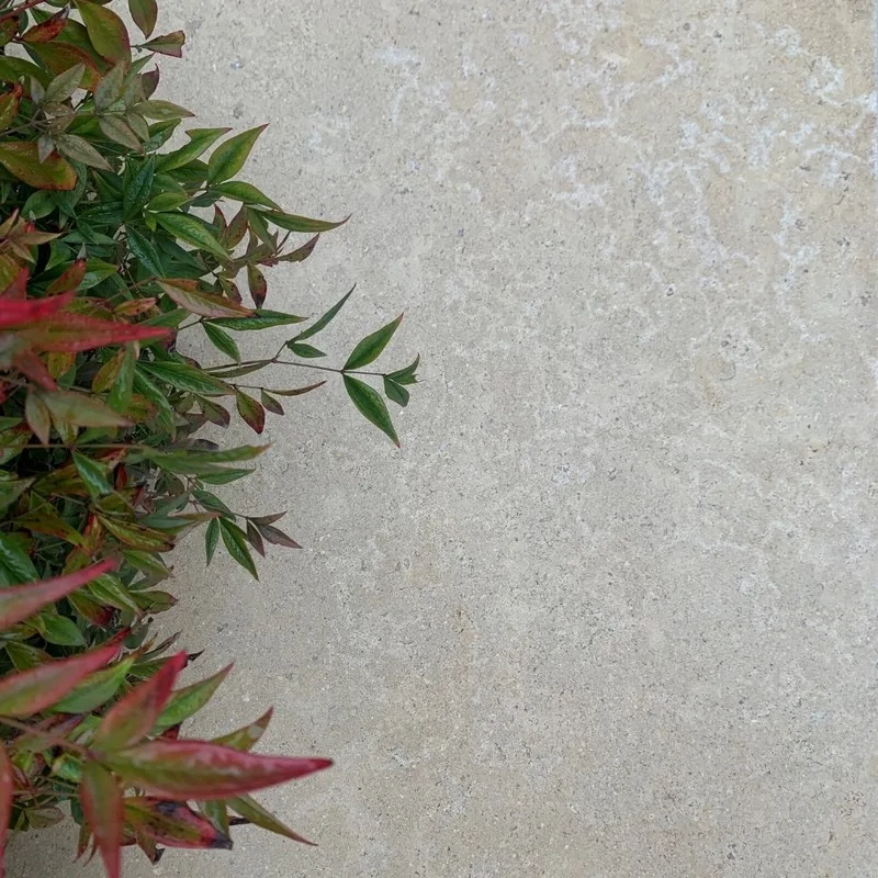 Kebur Egyptian Limestone Sinai Pearl Tumbled & Etched 900x600mm - Kebur ...